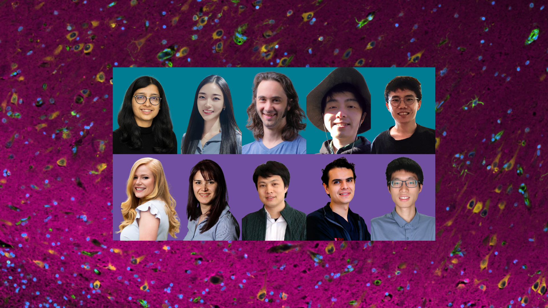 Meet the 2025 Neurosciences Postdoctoral Scholars | Knight Initiative